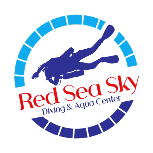 Speed Boat - Red Sea Sky Divers Diving Center